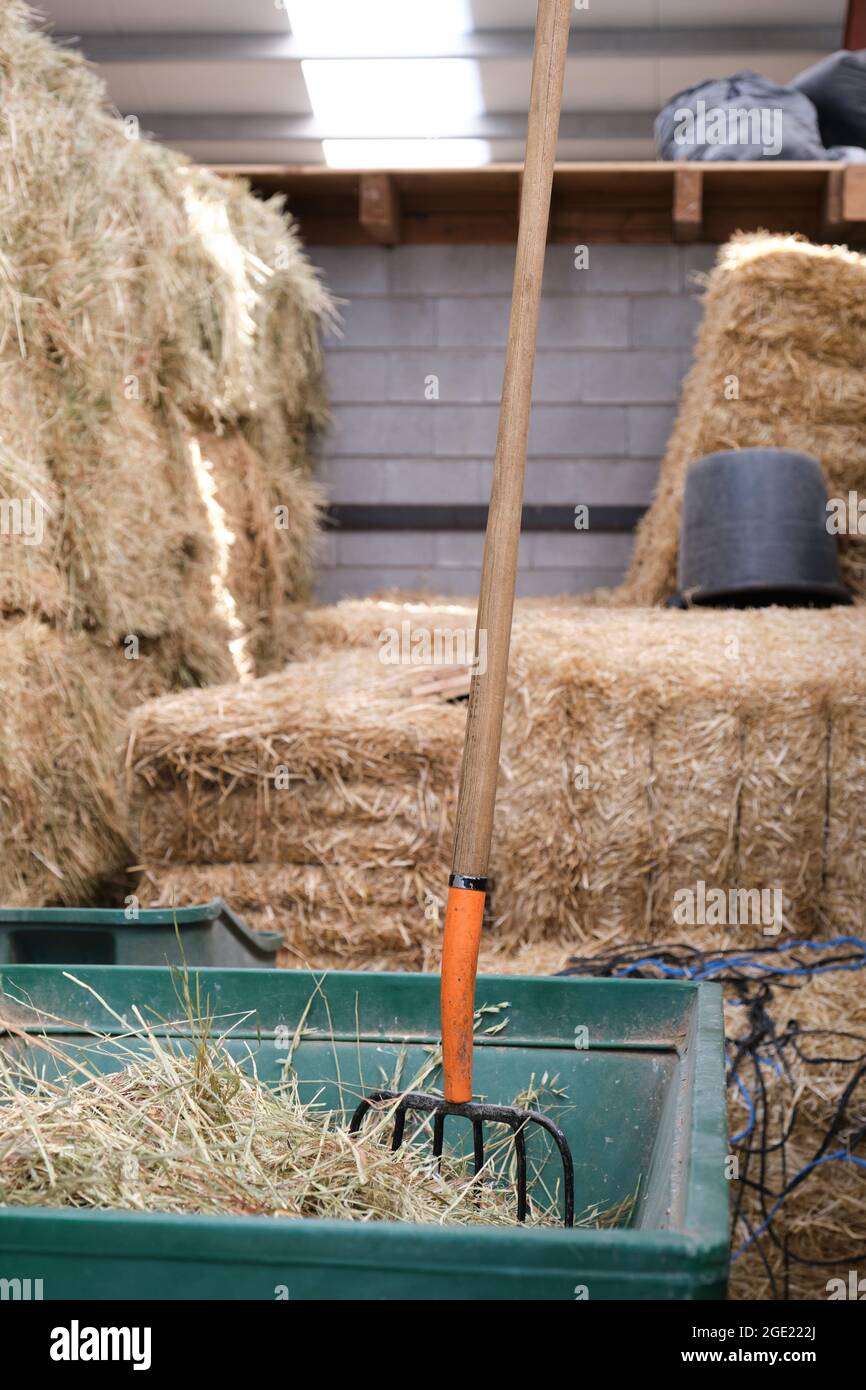 A fork in the wheelbarrow with hay Stock Photo - Alamy