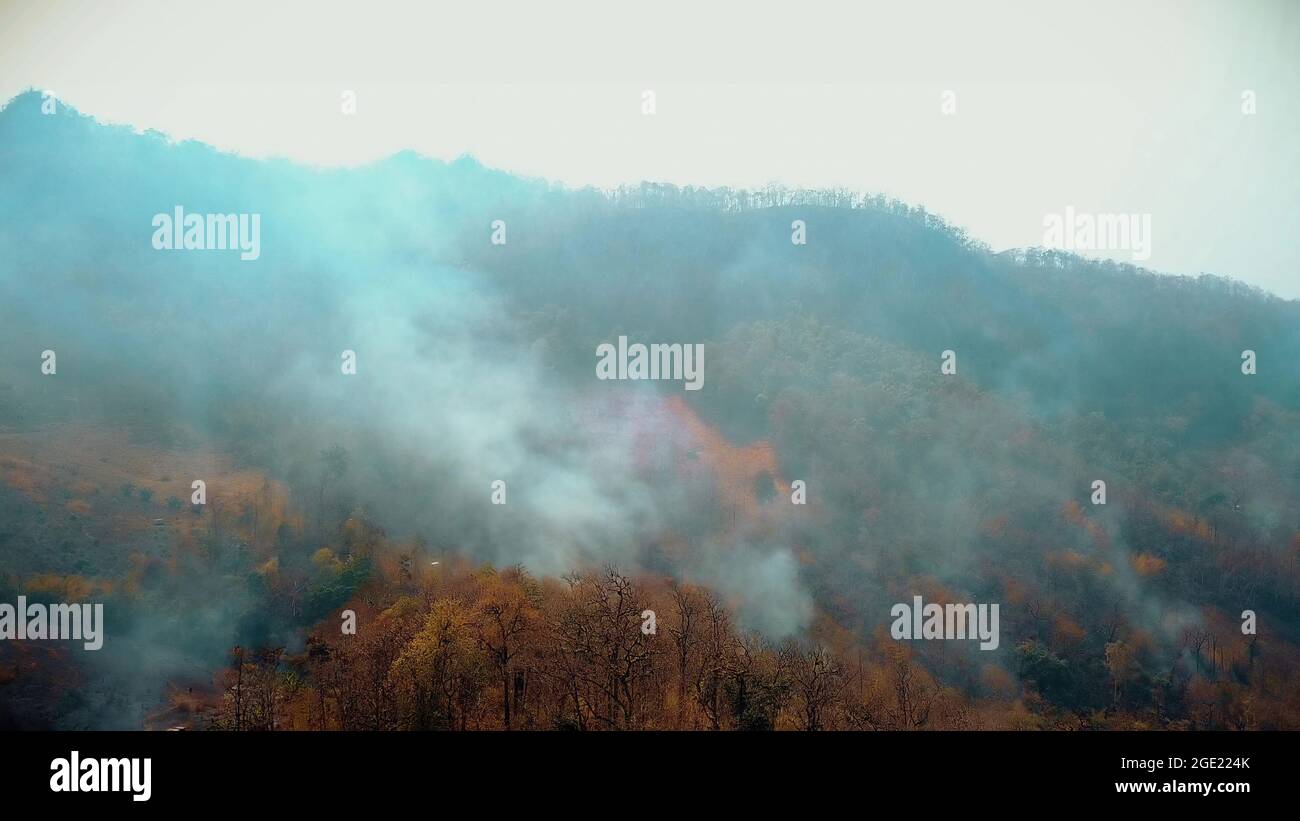Smog of forest fires. Deforestation and Climate crisis. Toxic haze from ...