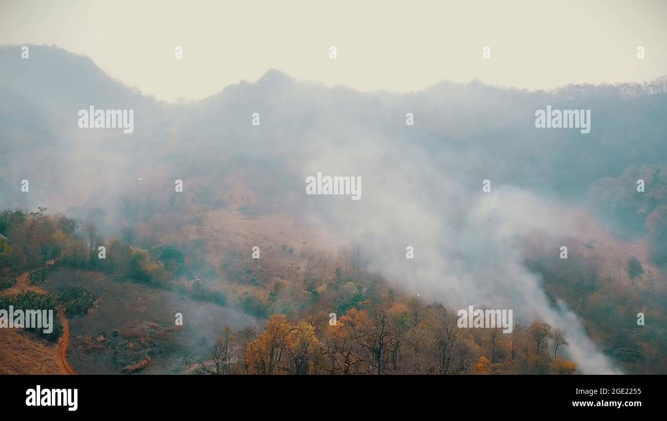 Smog of bushfire fires. Deforestation and Climate crisis. Toxic haze ...