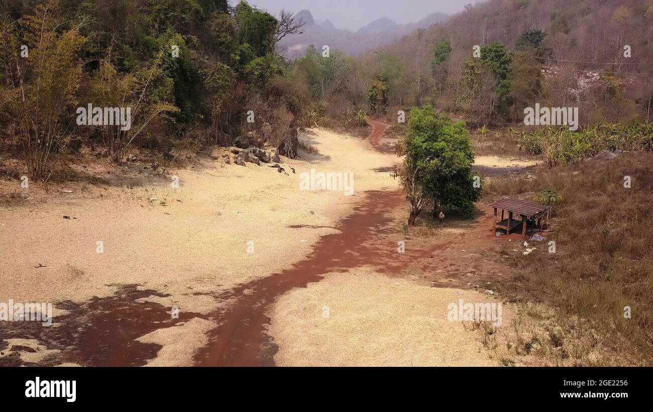 Climate crisis, drought while dry season. Deforestation of rainforest ...