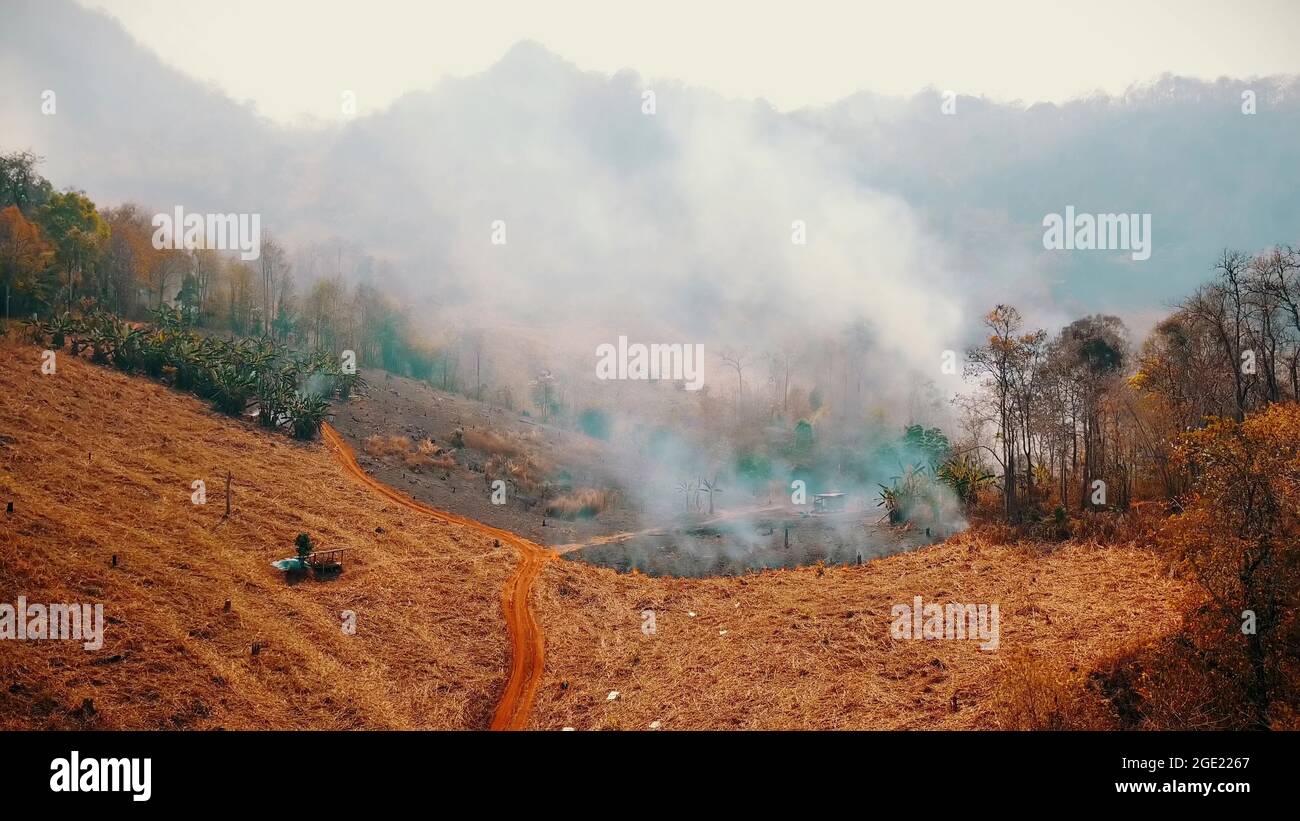 Smog of bushfire fires. Deforestation and Climate crisis. Toxic haze ...