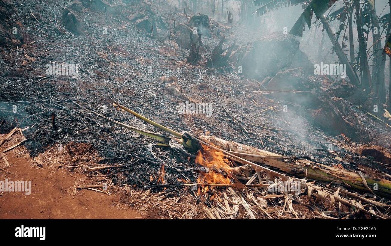 Burning fields on countryside . Farm and ecosystems crisis. Toxic haze ...