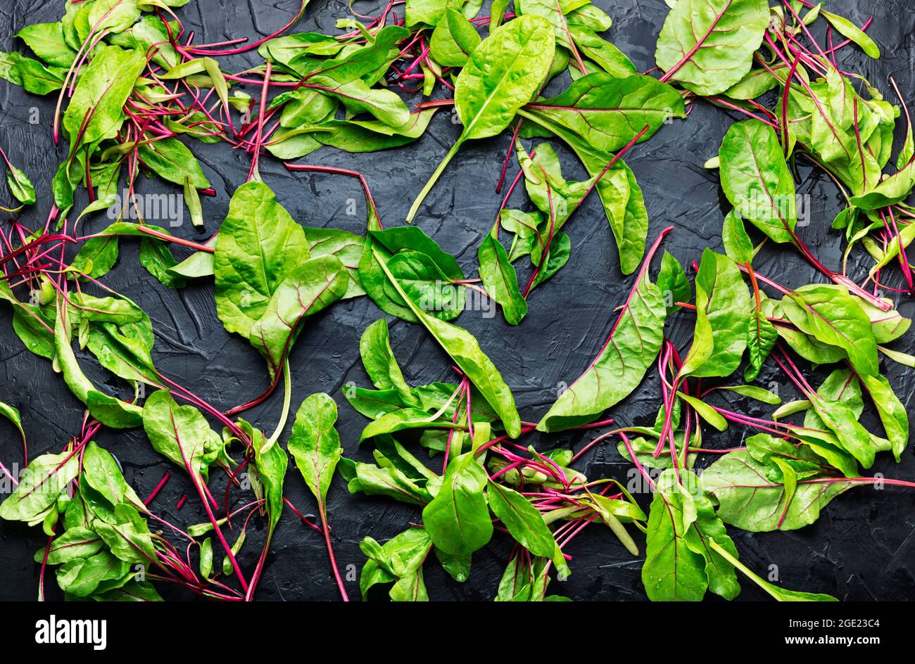 Fresh organic chard.Beet leaves or mangold.Food background Stock Photo ...