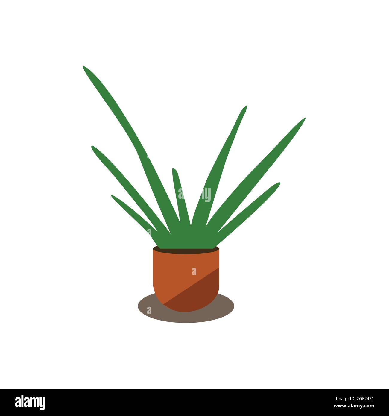 Indoor house plant vector isolated on white. Beautiful natural plants ...