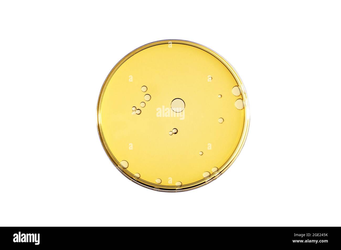 Abstract oil circle bubbles in a petri dish top view. Laboratory ...