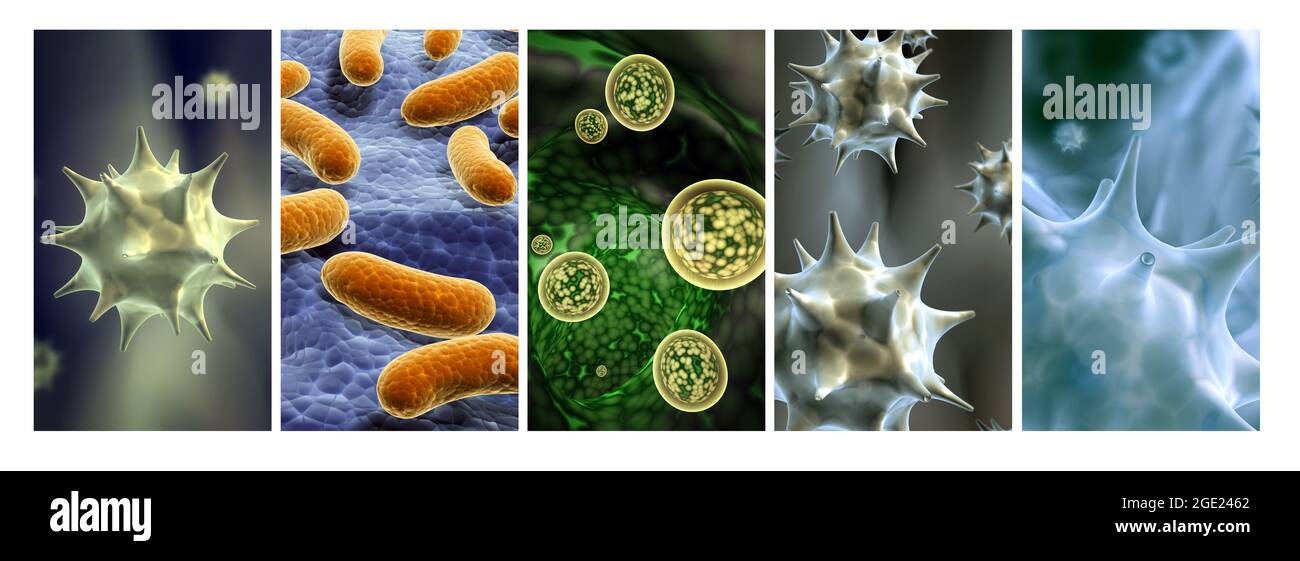 Collection of horizontal or vertical banners with pathogenic bacterias ...