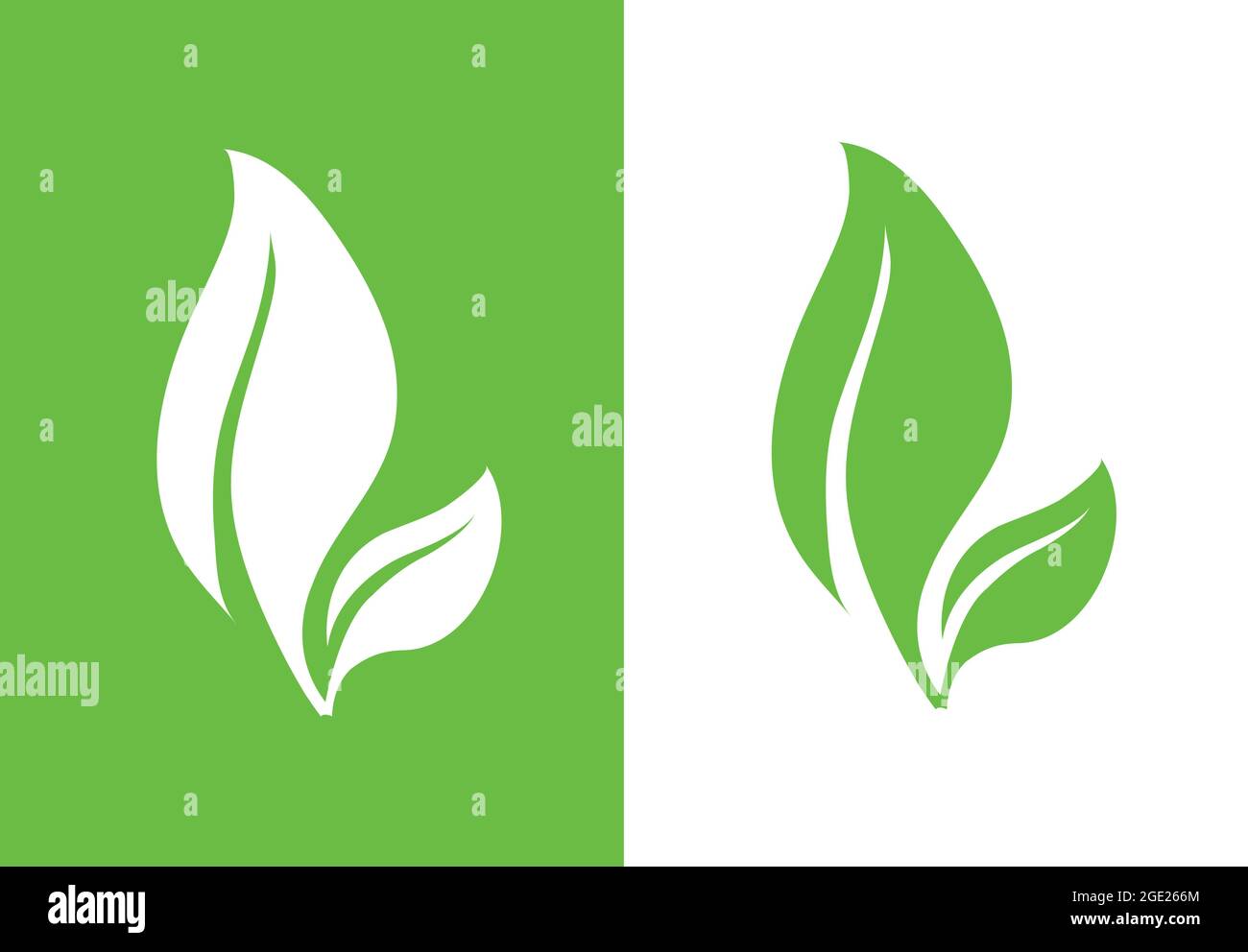 Beautiful leaves vector icon isolated on green and white. Symbol of eco ...