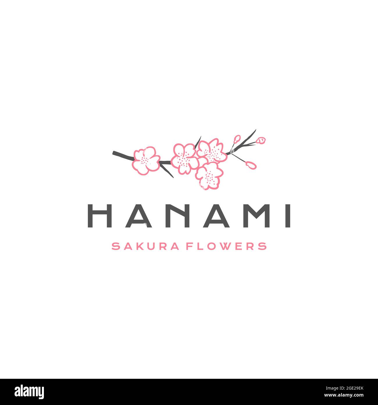 Japan cherry blossom hanami Cut Out Stock Images & Pictures - Alamy