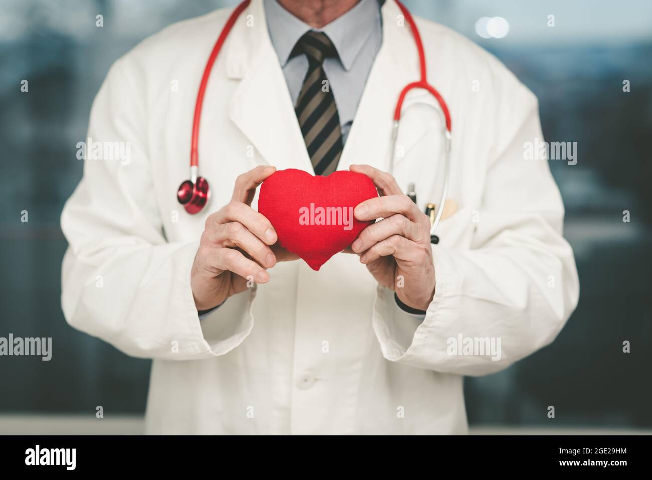 Doctor showing red heart; cardiology concept Stock Photo - Alamy