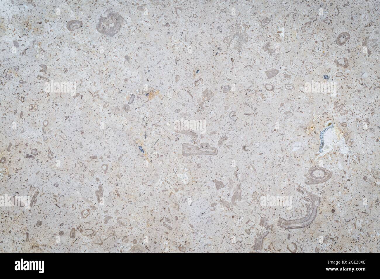 Stone marble with thiny line and texture Stock Photo - Alamy