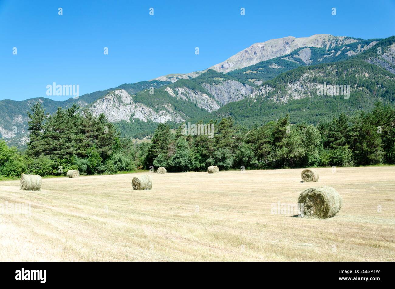 Roundbale hi-res stock photography and images - Alamy