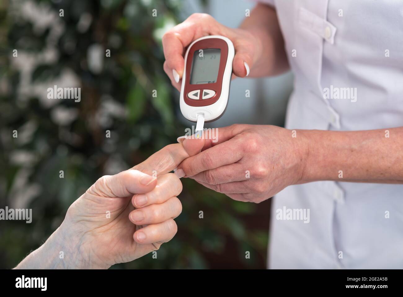 Nurse checking blood sugar level Stock Photo - Alamy