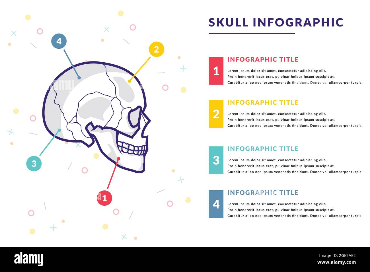 Human skull infographic vector template with the text of various color ...