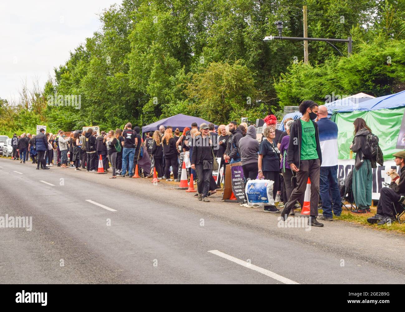 Huntingdon, United Kingdom. 1st August 2021. Animal welfare activists ...