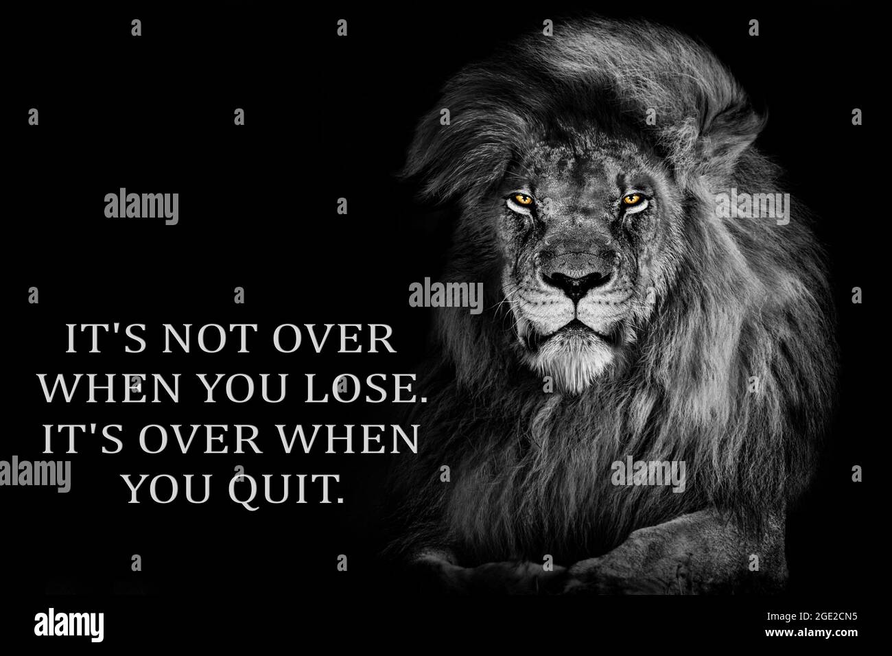 Inspirational Motivational quote , it's not over when you lose it's ...