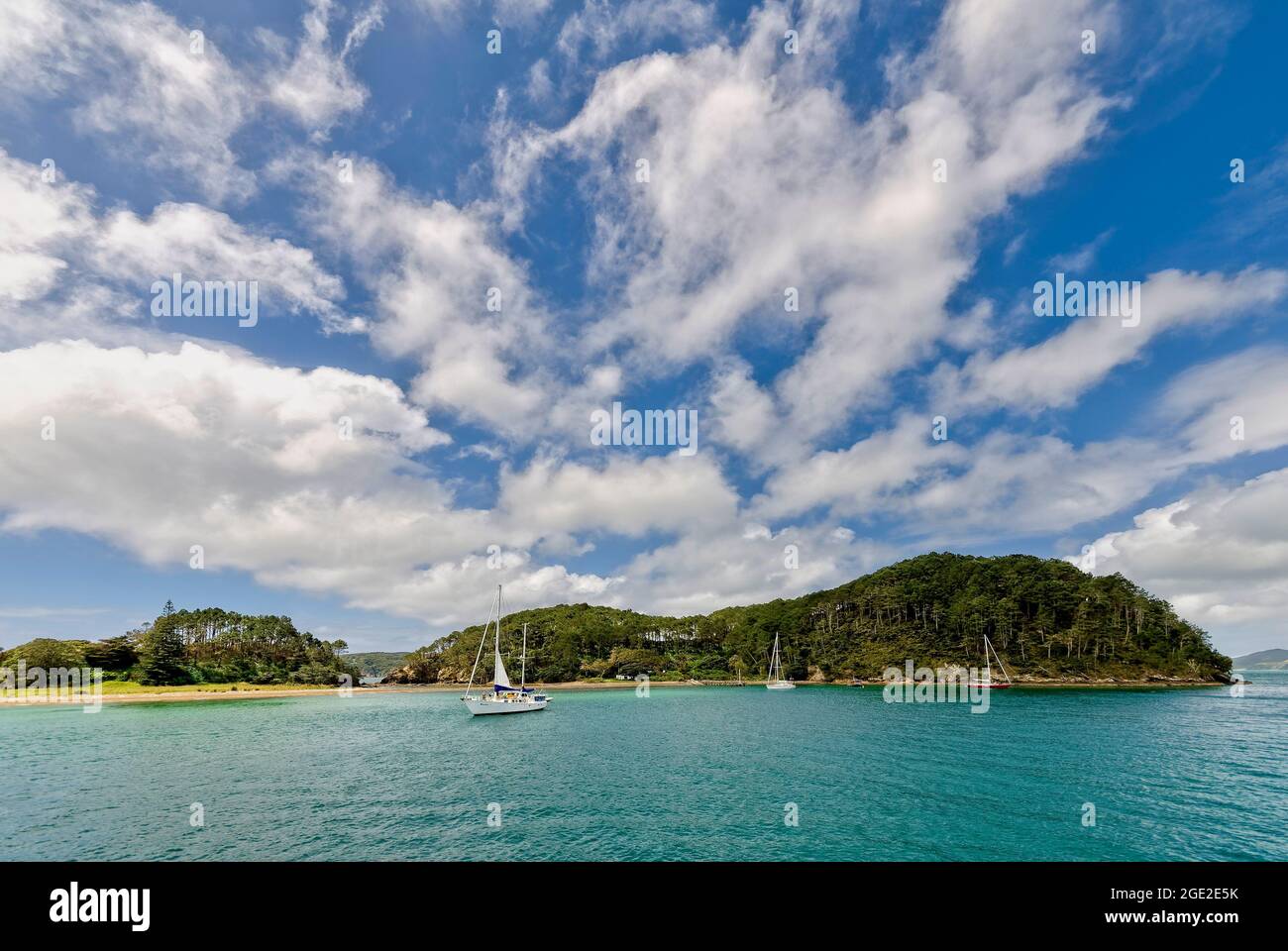 Roberton island new zealand hi-res stock photography and images - Alamy