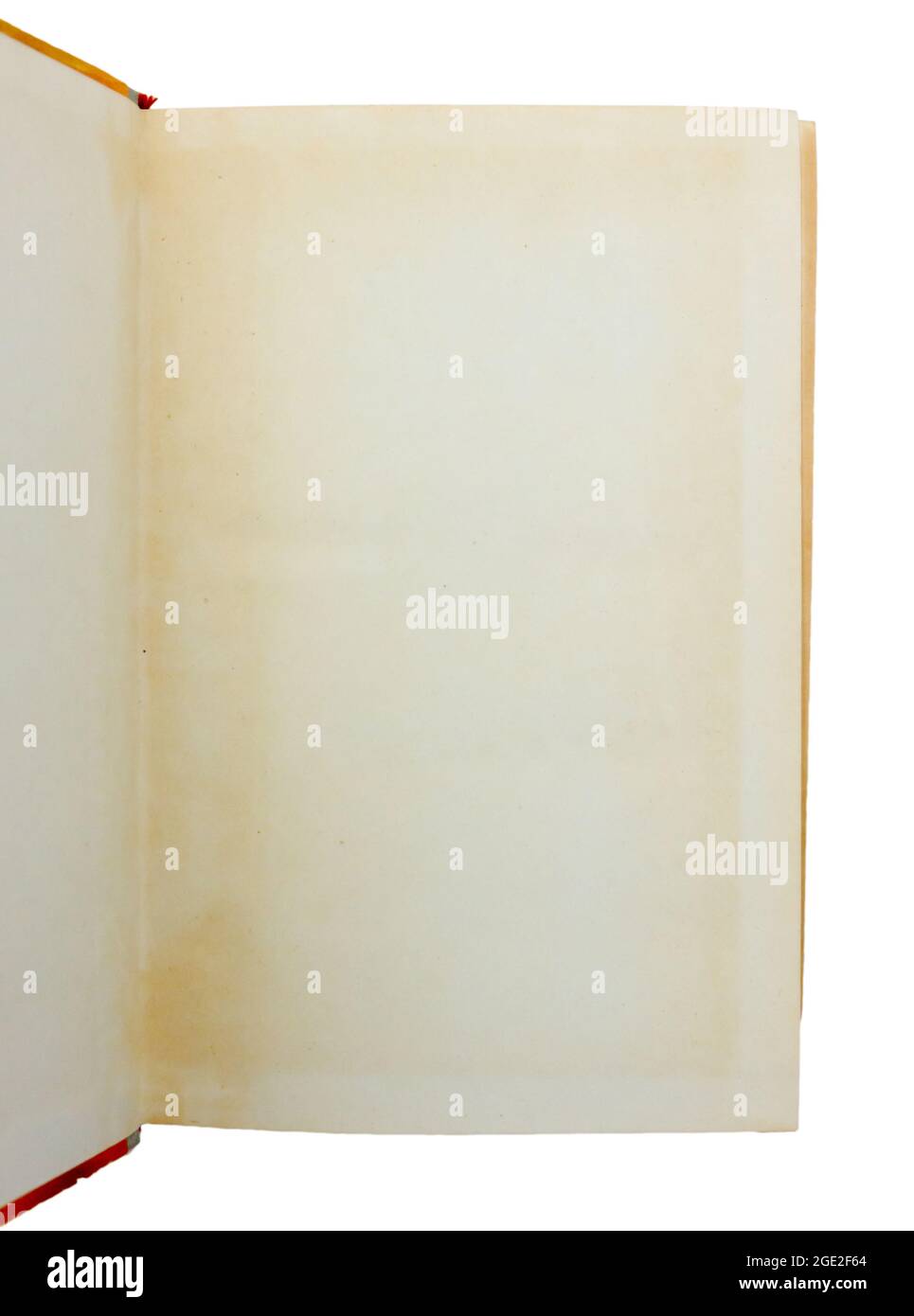 Soft white spine hi-res stock photography and images - Alamy