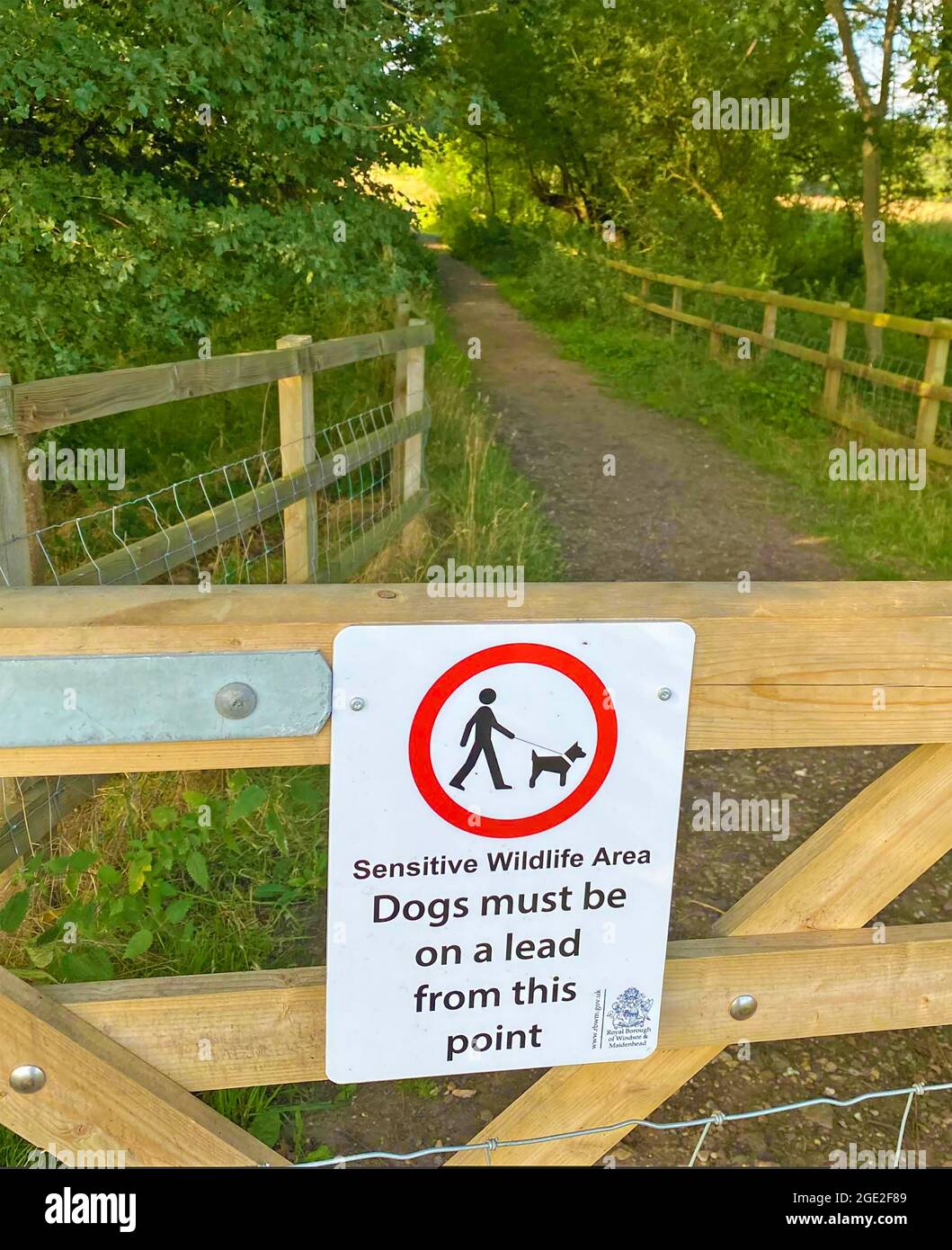 DOG WALKER SIGN at Battlemead Common, Maidenhead, Berkshire. Photo ...