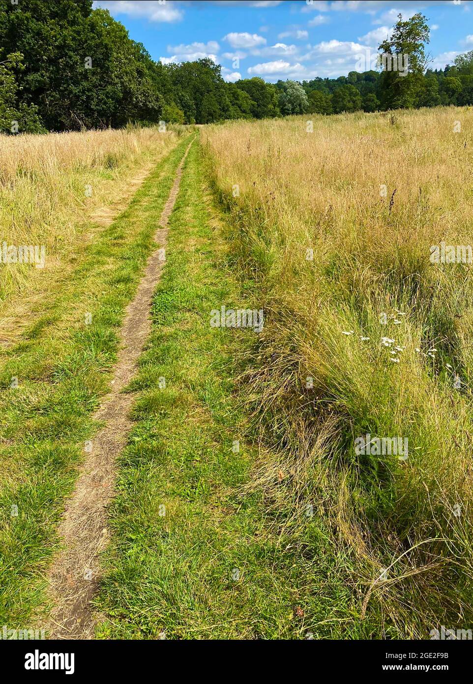 BATTLEMEAD COMMON,Maidenhead, Berkshire. Photo: Tony Gale Stock Photo ...