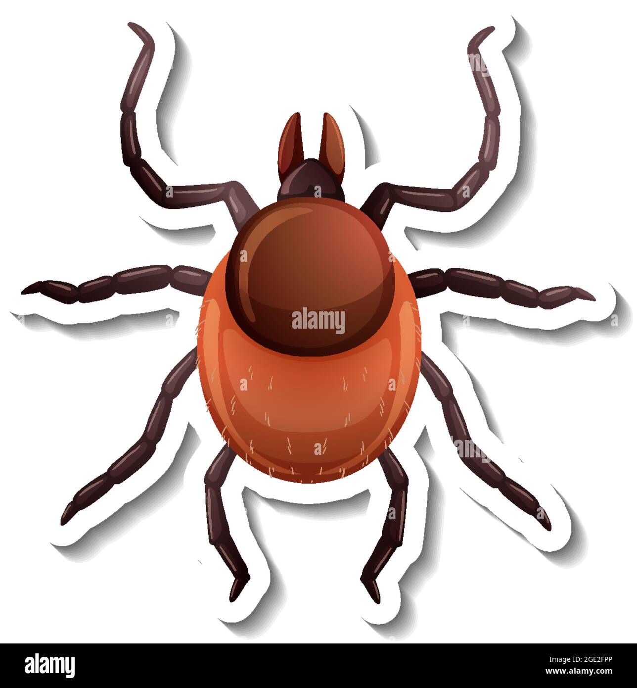 A sticker template with top view of a tick isolated illustration Stock ...