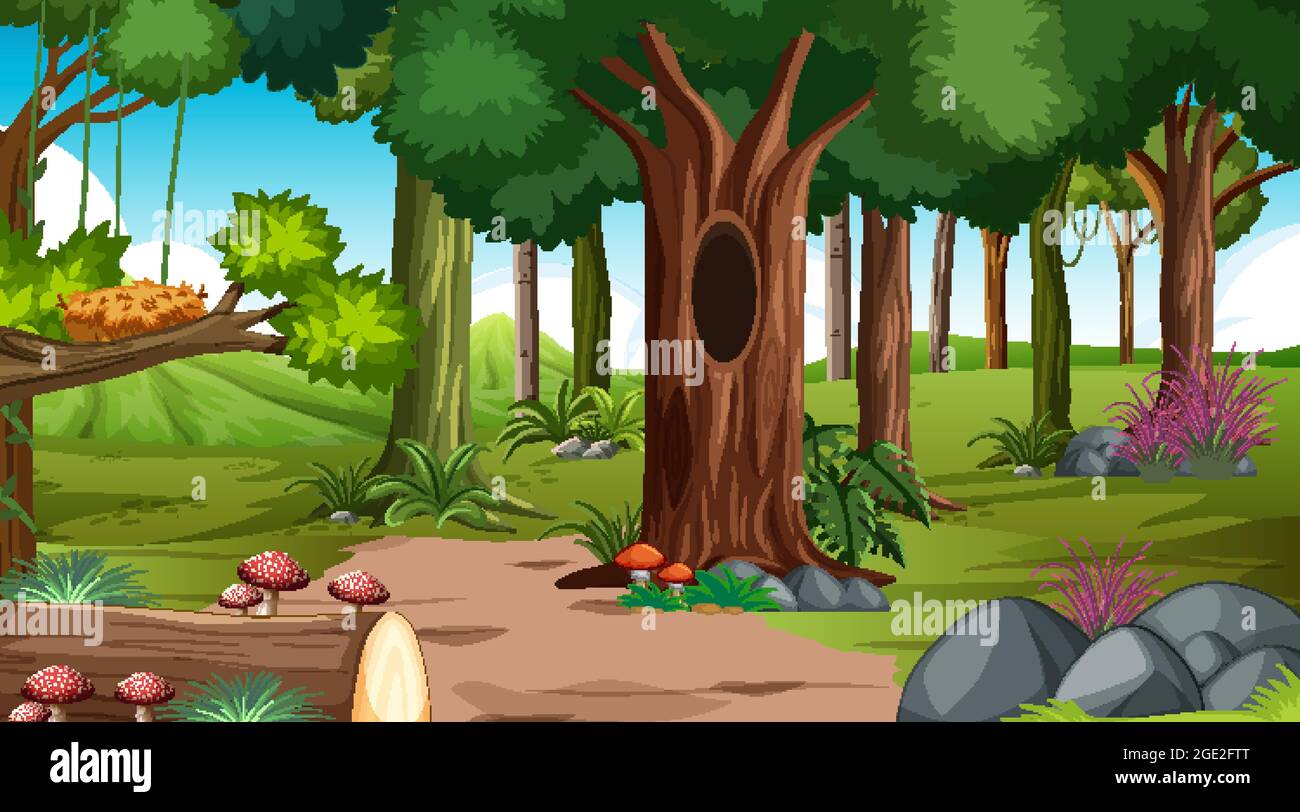 Forest at daytime scene with various forest plant and tree illustration ...