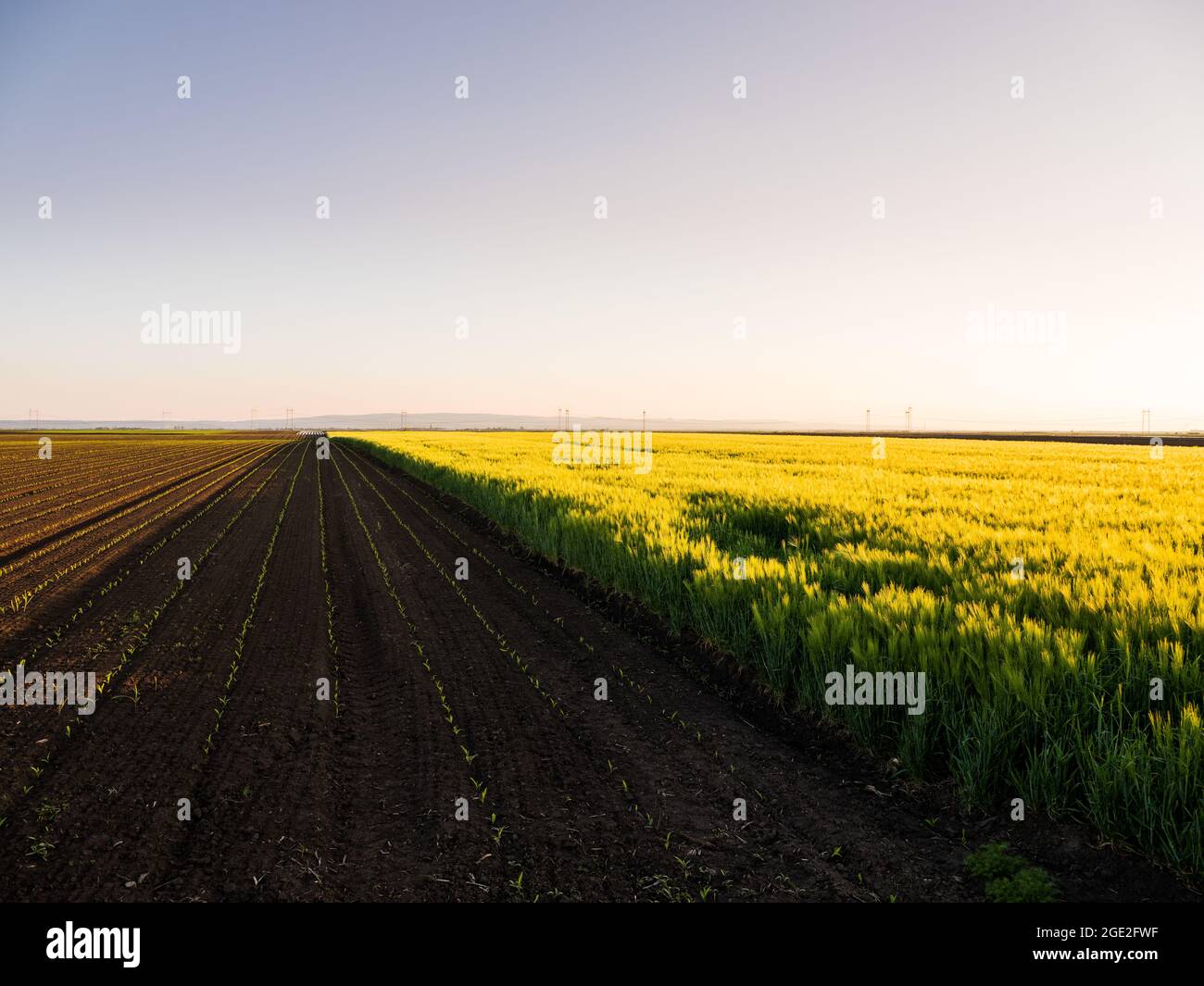 Agricultural landscape, arable crop field. Arable land is the land ...