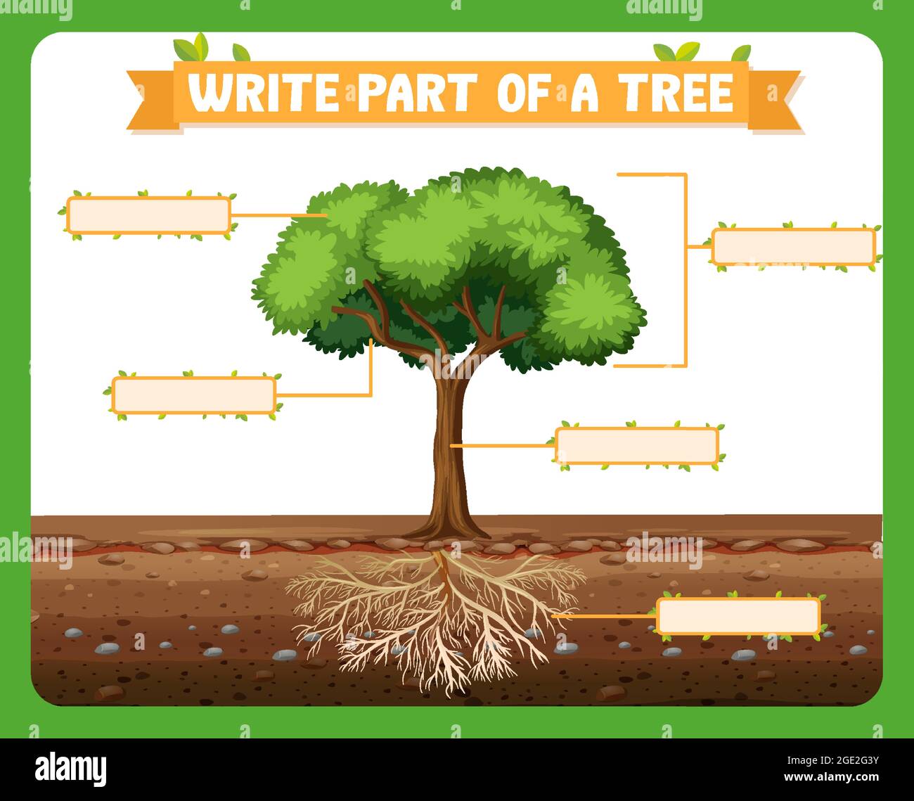 Write parts of a tree worksheet for kids illustration Stock Vector ...