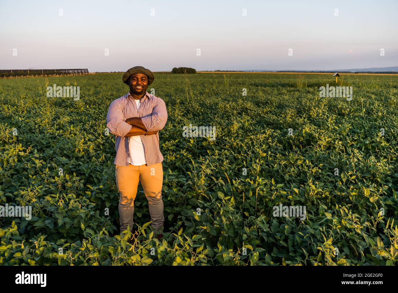 Soybean field man hi-res stock photography and images - Alamy