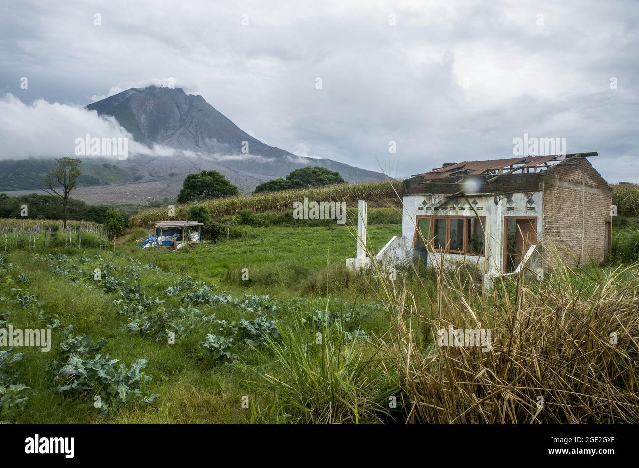 Sutanta aditya hi-res stock photography and images - Alamy