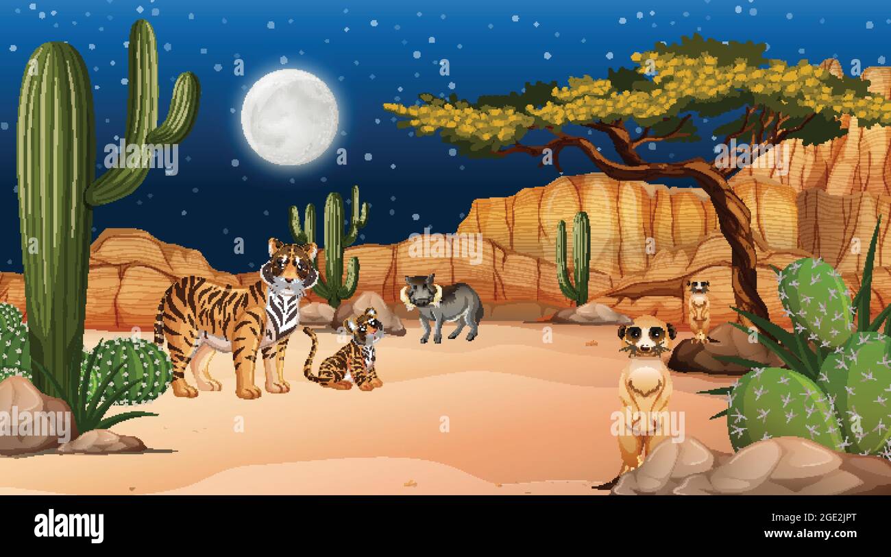 Animals live in desert forest landscape at night scene illustration Stock Vector Image & Art - Alamy