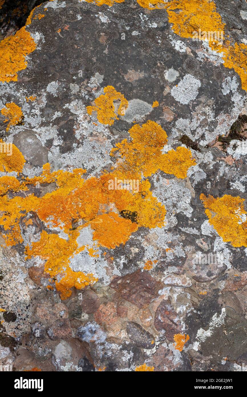 Pebbles rocks crack geology hi-res stock photography and images - Alamy