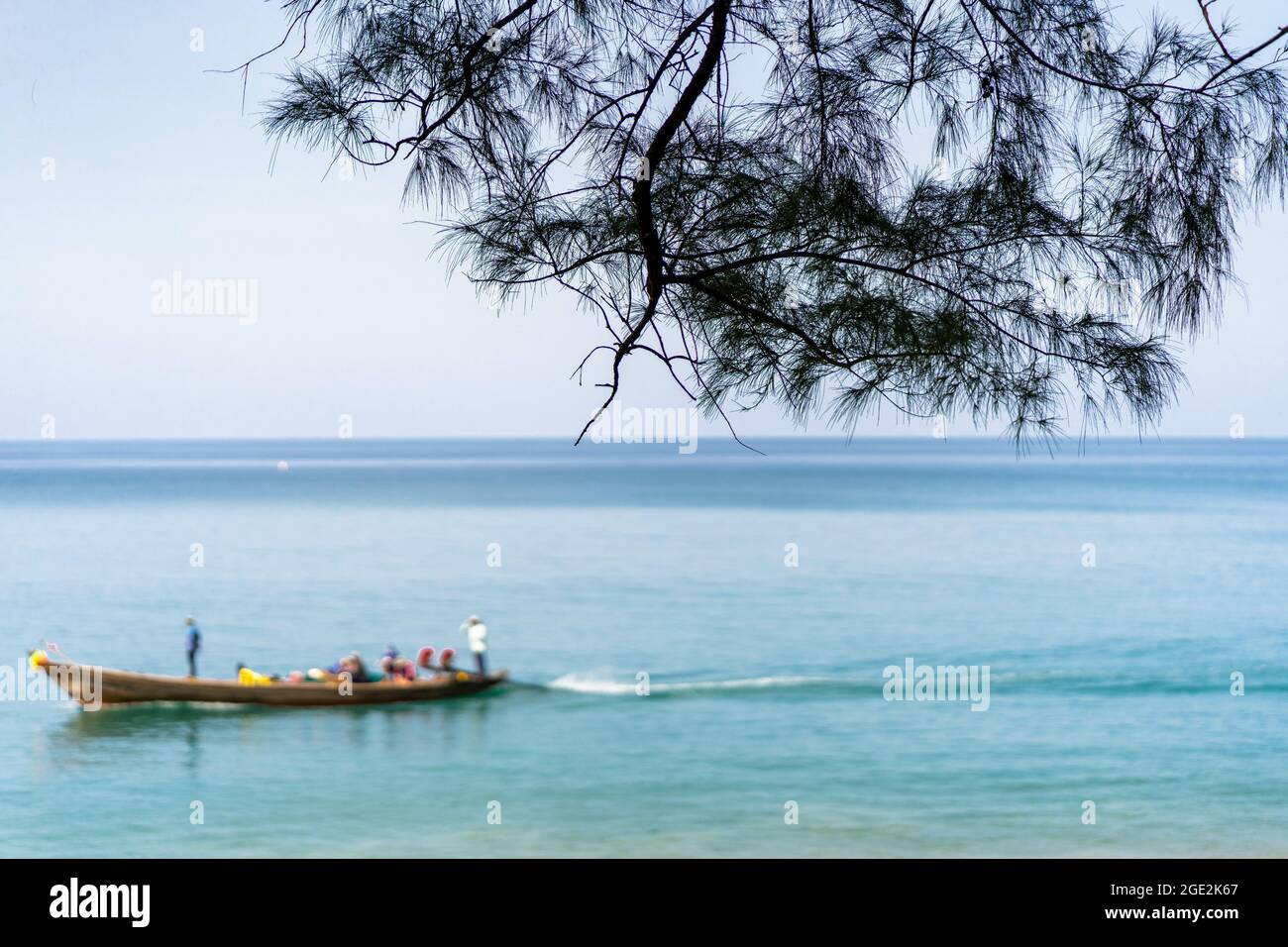 Spruce leaves branches against a blurred boat in the sea Stock Photo ...