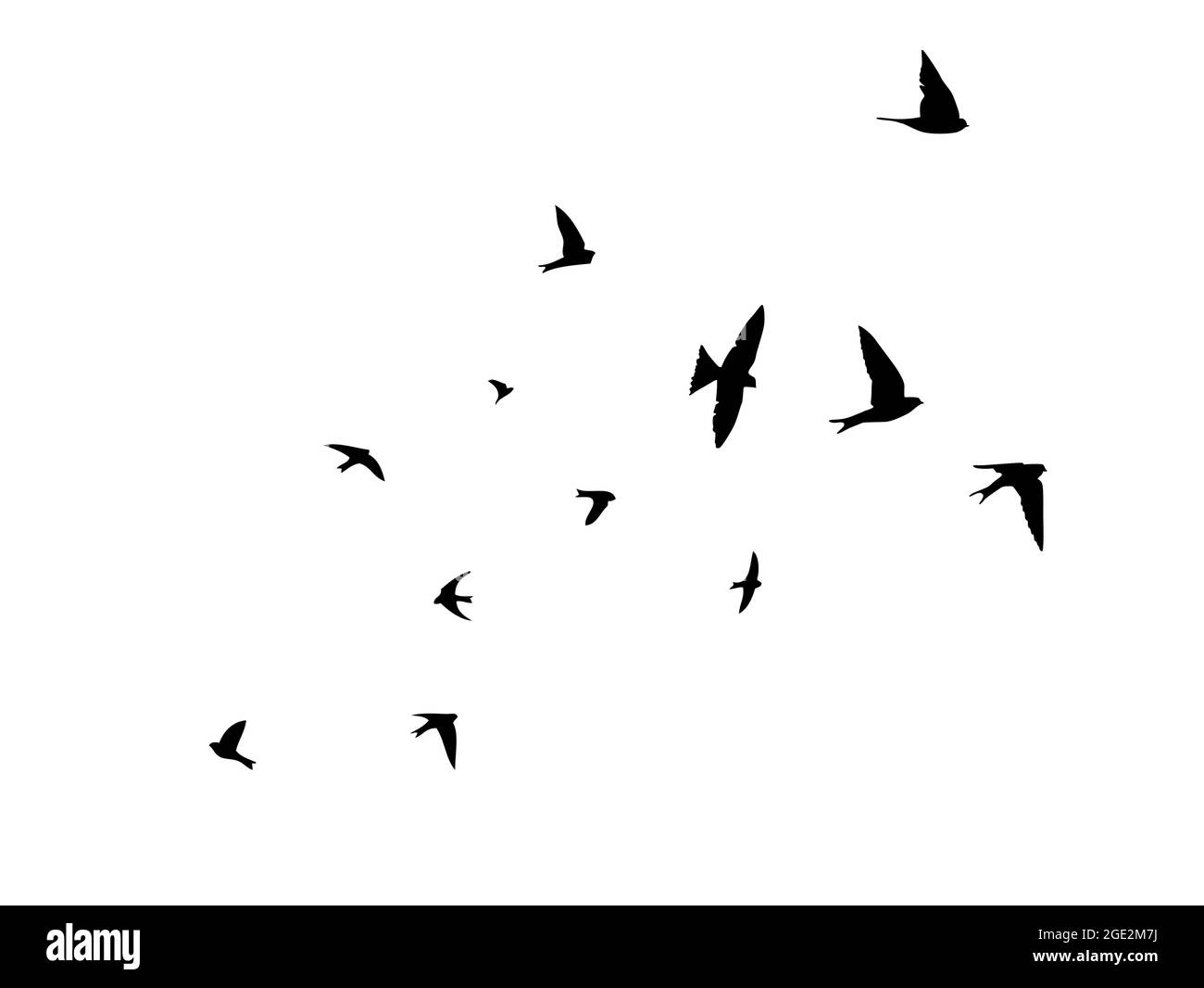 flying swallows. Flock of birds . Vector illustration Stock Vector ...