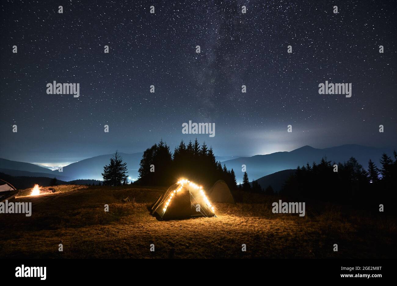 Night Time In A Forest