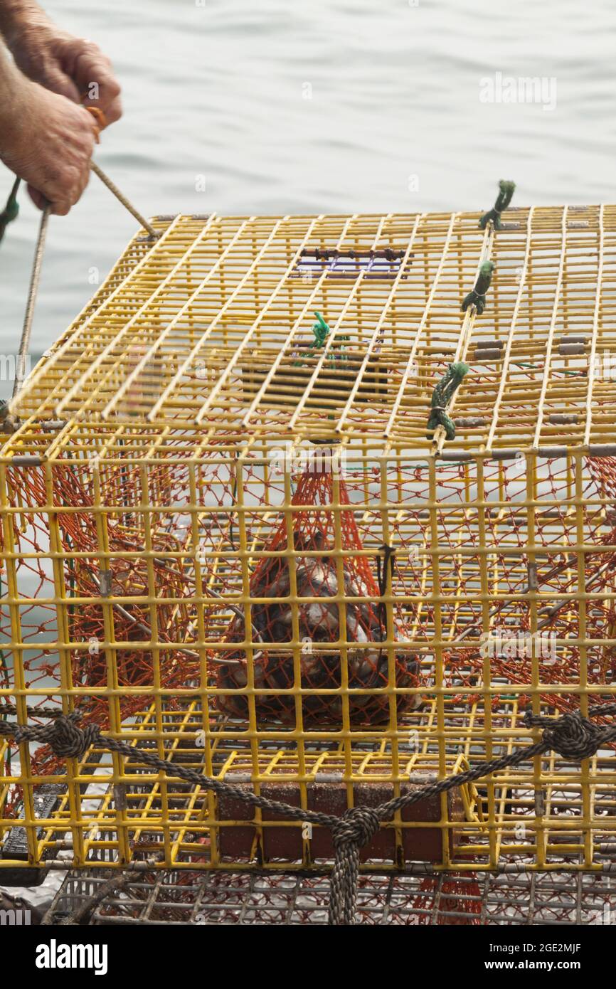 Catching fishes in a river hi-res stock photography and images - Alamy