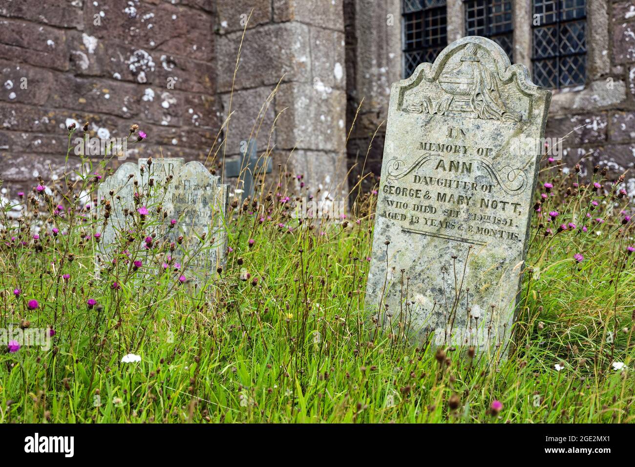 Gravestone of Ann Nott who died at just 13years and 3 months old in ...