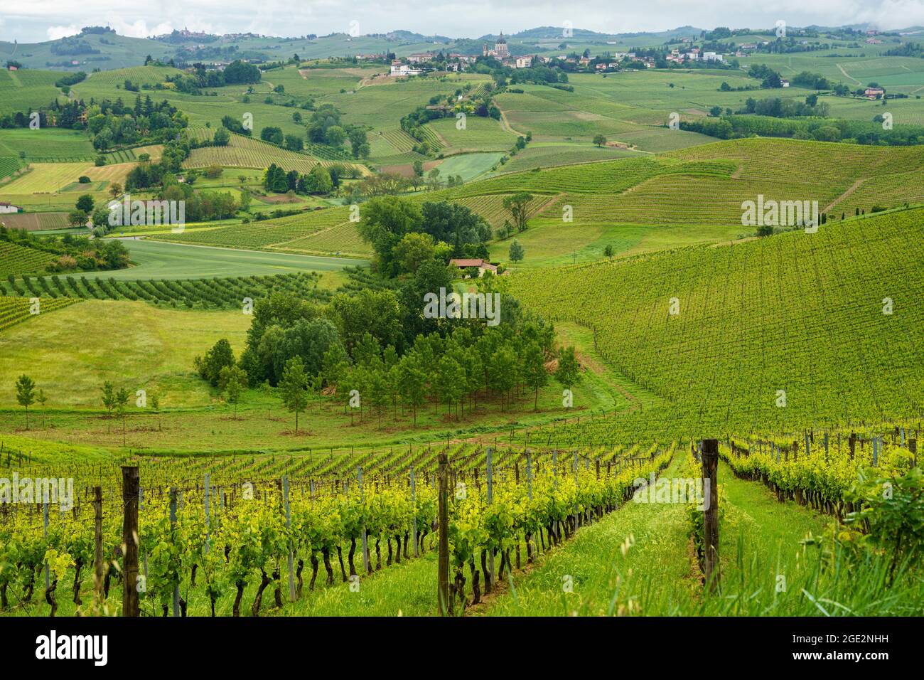 Rural landscape in Monferrato, Unesco World Heritage Site. Vineyard ...