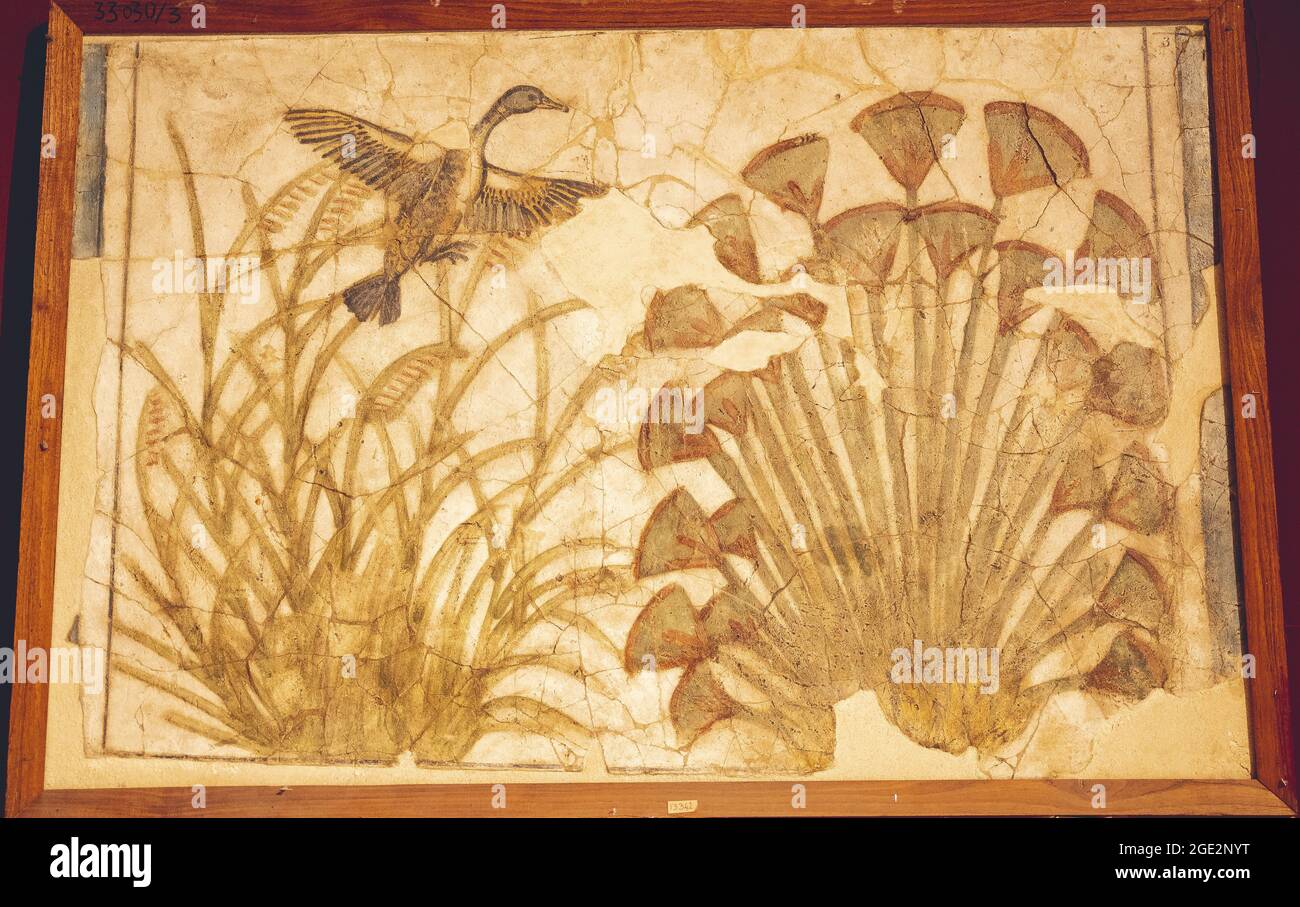 CAIRO, EGYPT - Jun 06, 2021: An ancient artwork depicting a bird flying ...