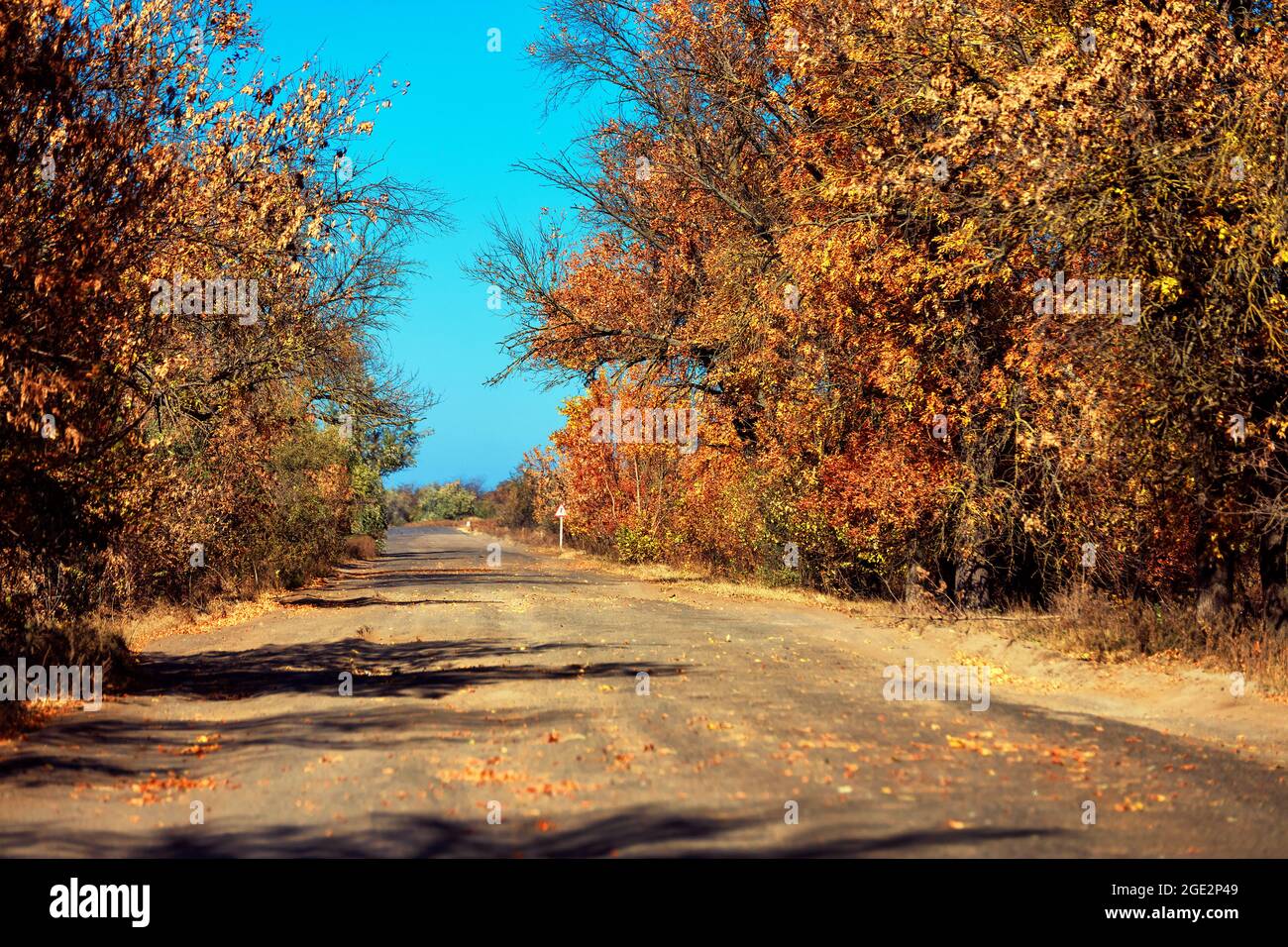 Beautiful empty autumn empty road going into the distance. Shallow ...