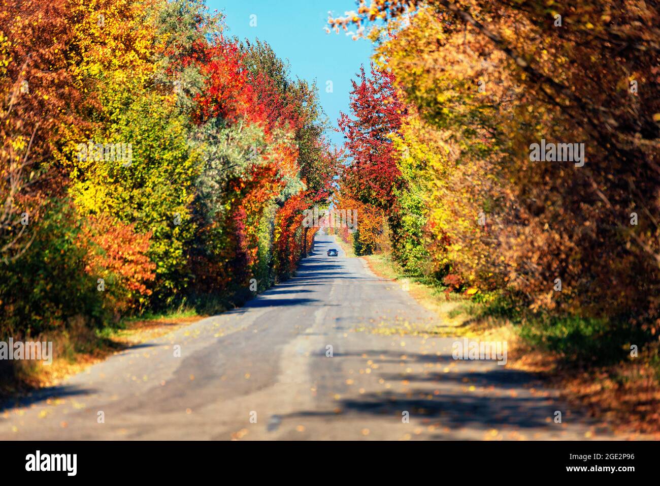 Beautiful empty autumn empty road going into the distance. Shallow ...