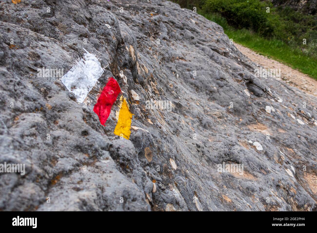 Helping direction in forest hi-res stock photography and images - Alamy