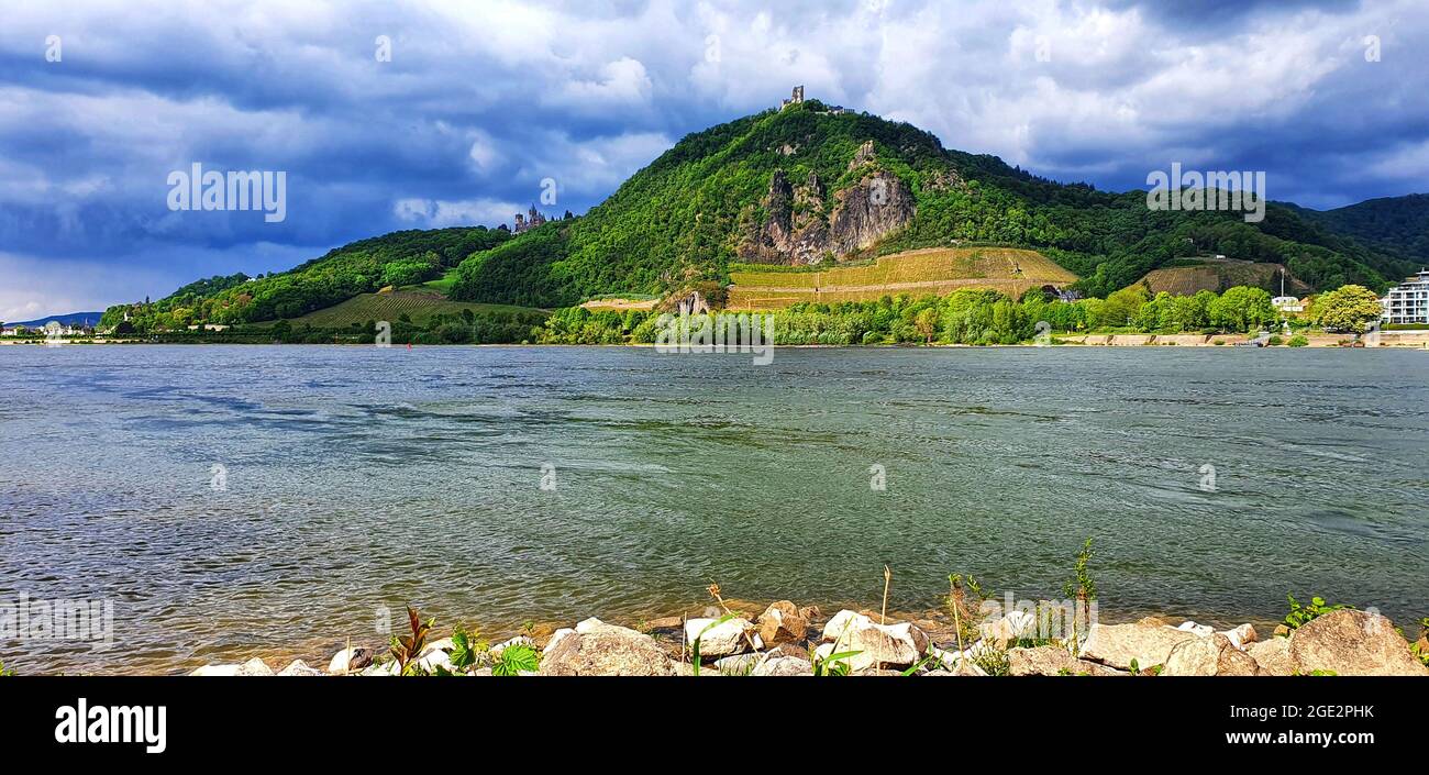 Bonn Mehlem Germany at the beginning of may in the evening on the Rhine ...