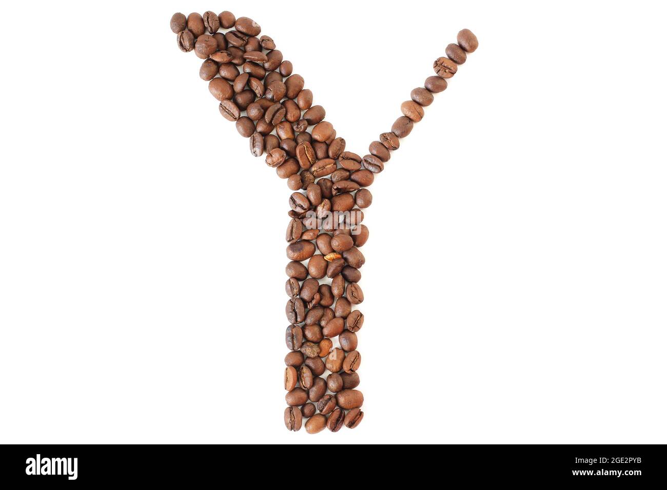 Coffee beans. Letter Y made from coffee beans on a white background ...
