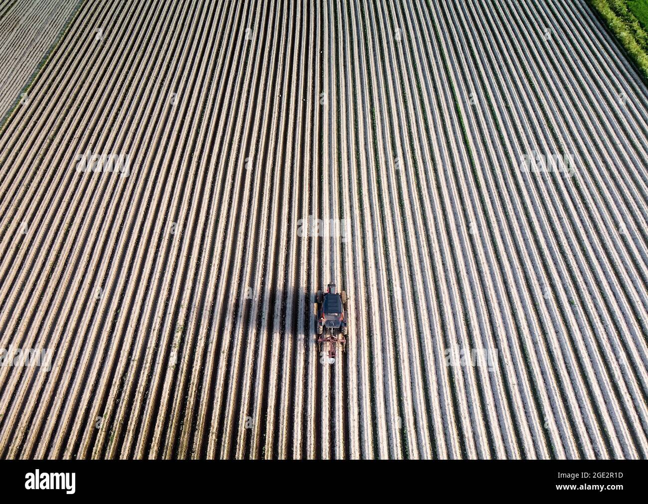 The farmer is cleaning up the plows of the field in the middle of the ...