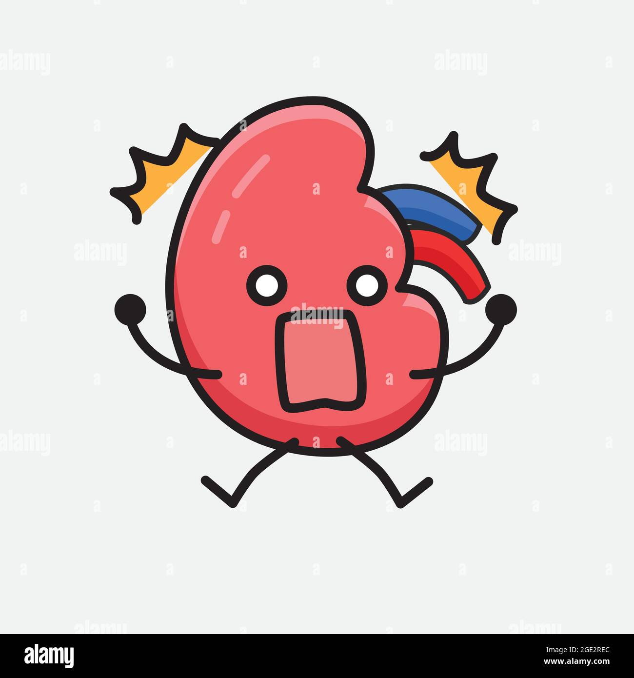 Vector Illustration of Kidney Character with cute face and simple body ...