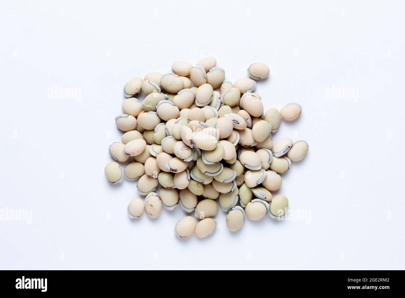 Val beans also known as Lima Beans or Pawata, Phaseolus lunatus Satara ...