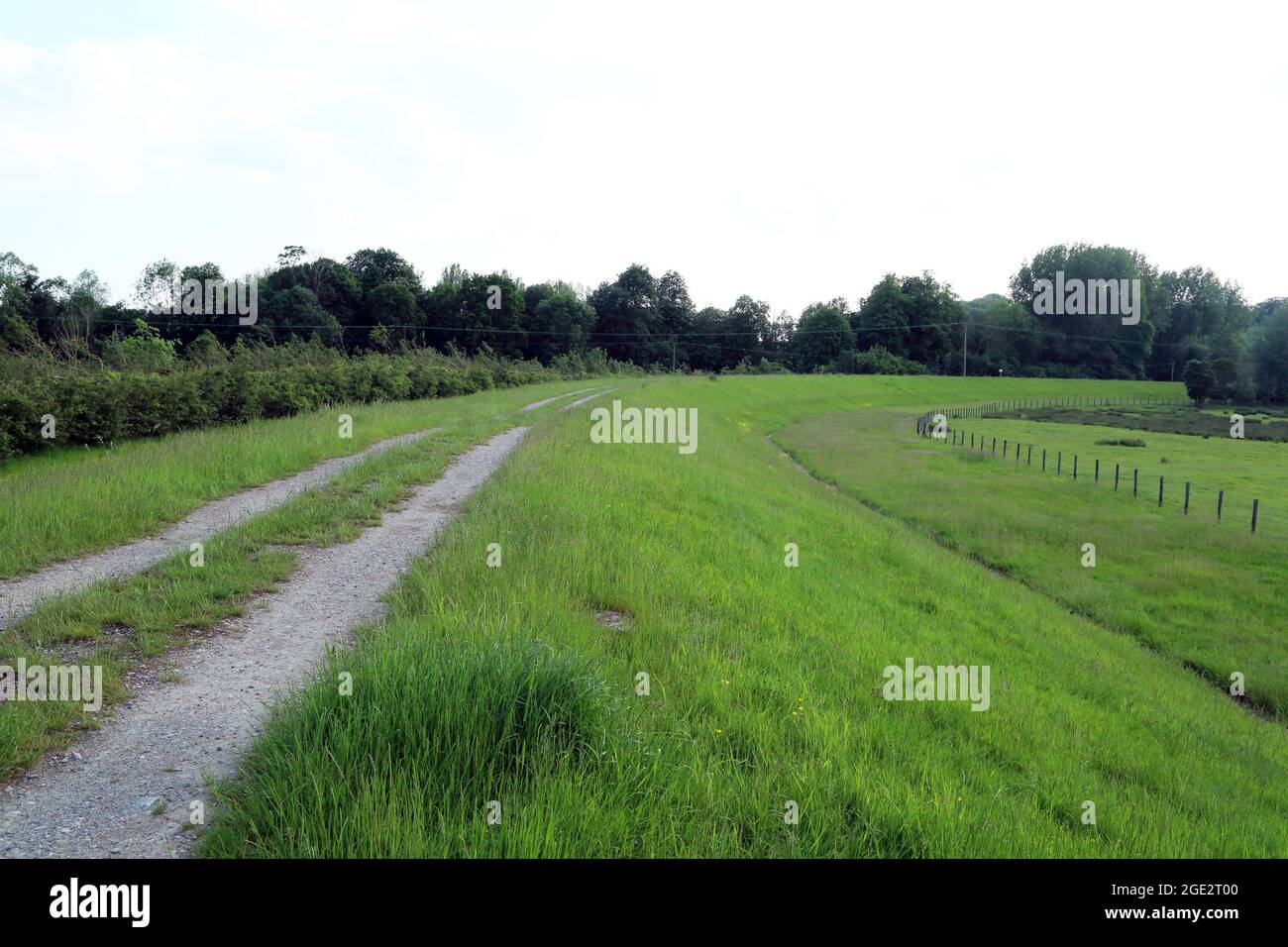 Track along top of Hothfield Flood Defense scheme close to Godinton ...