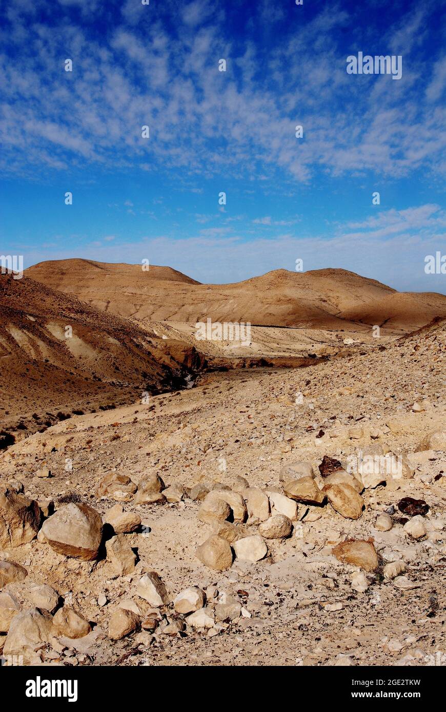 Wadi in the Negev desert in Israel Stock Photo - Alamy