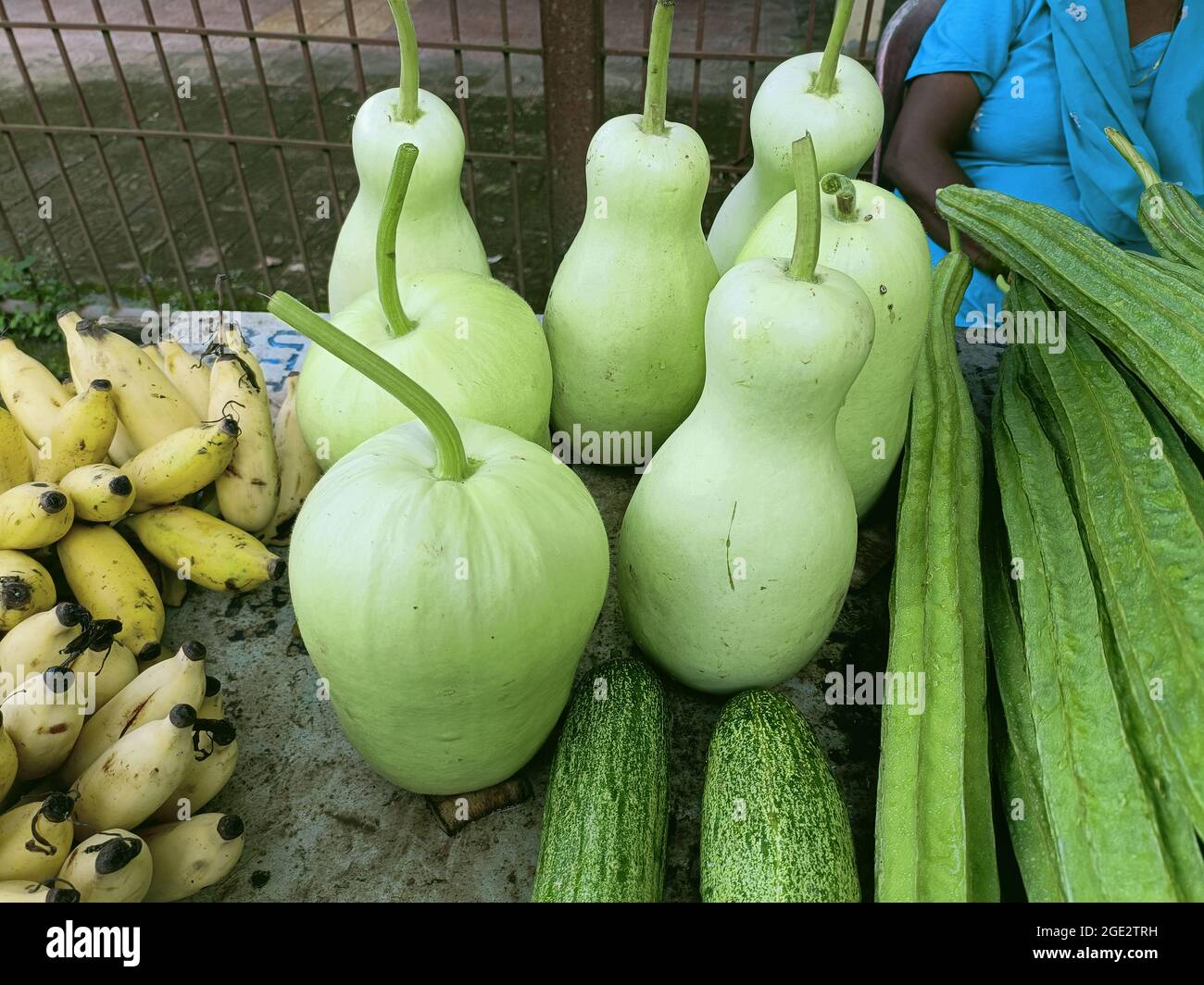 Closeup of green bottle gourd calabash for sale Stock Photo - Alamy