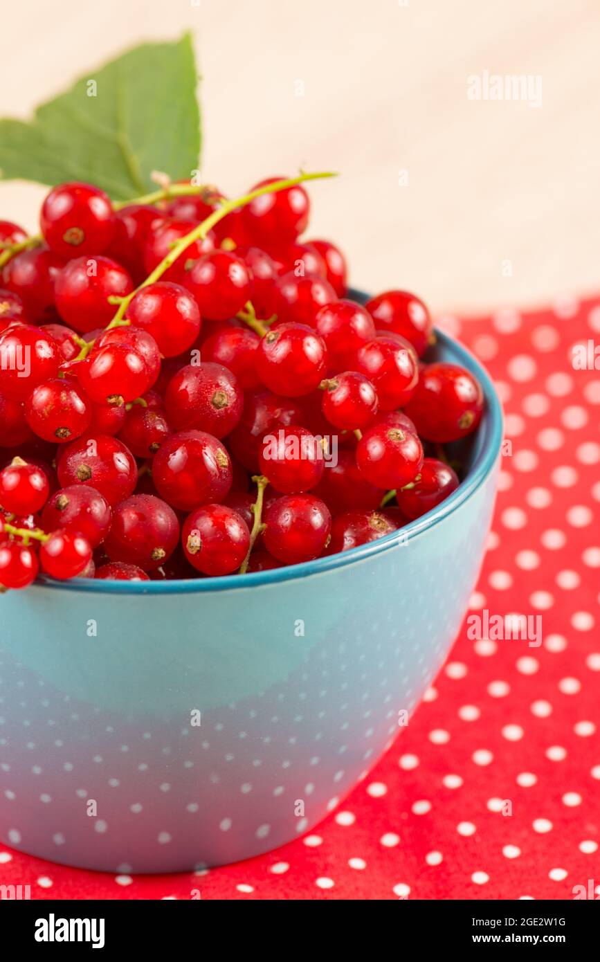 Red currants in a blue bowl, fresh fruits, berries Stock Photo - Alamy